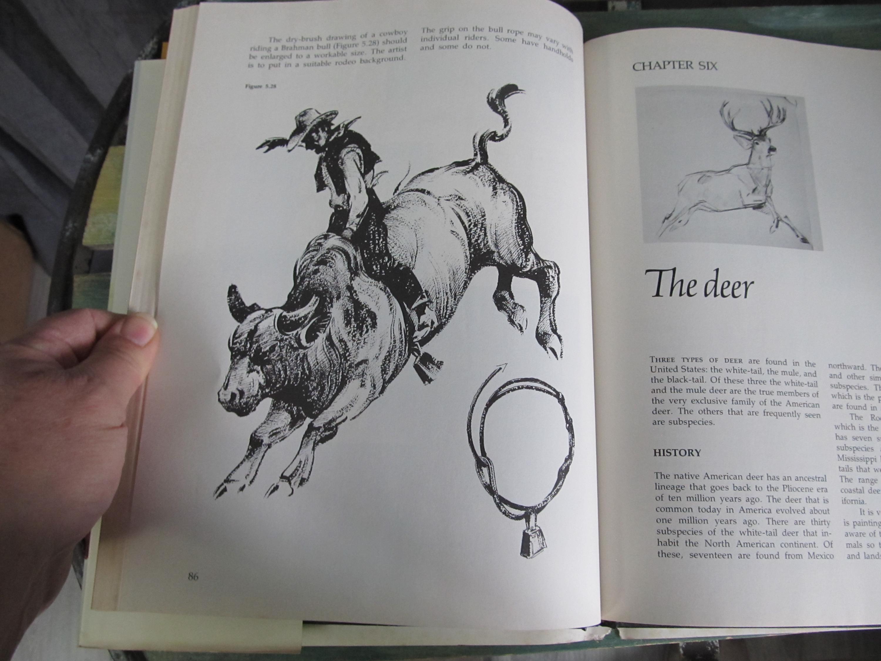 Vintage the Art of Painting Animals Beginning Artist's Guide Frederic ...