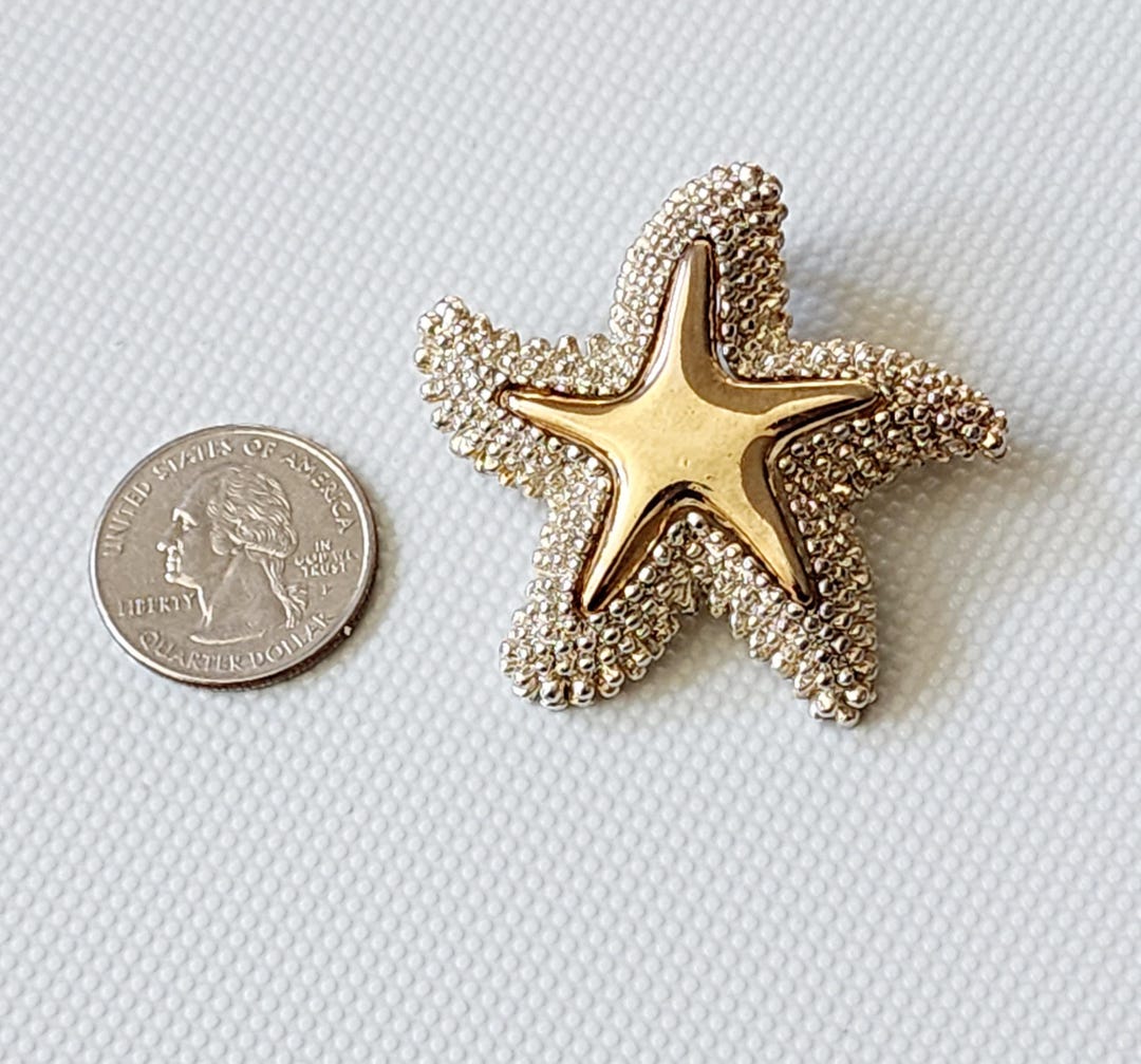 Vintage Starfish Star Nautical Sealife Sea Textured Silver Gold Tone ...