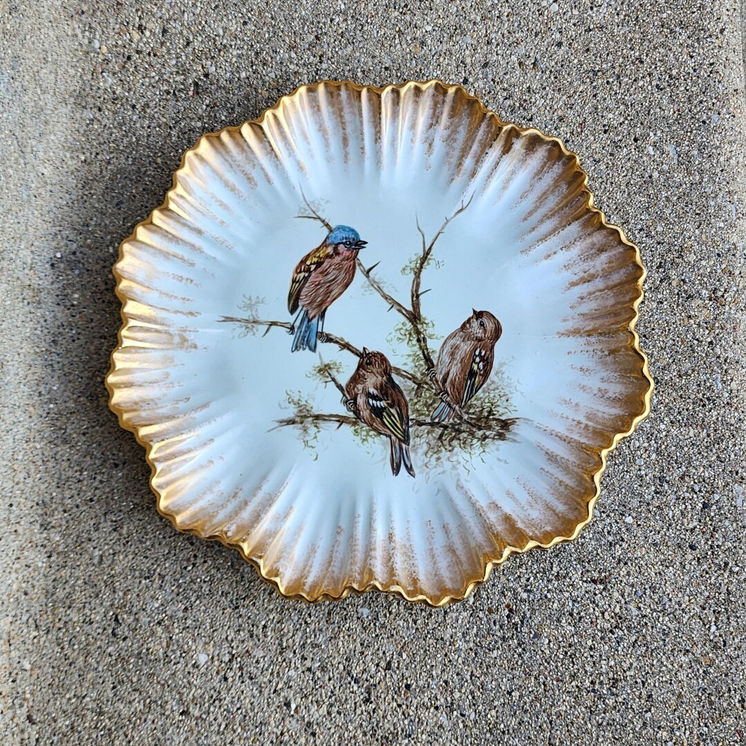 Vintage Coalport England Bluebird Finch Bird Plate Brushed Gold Crimped ...