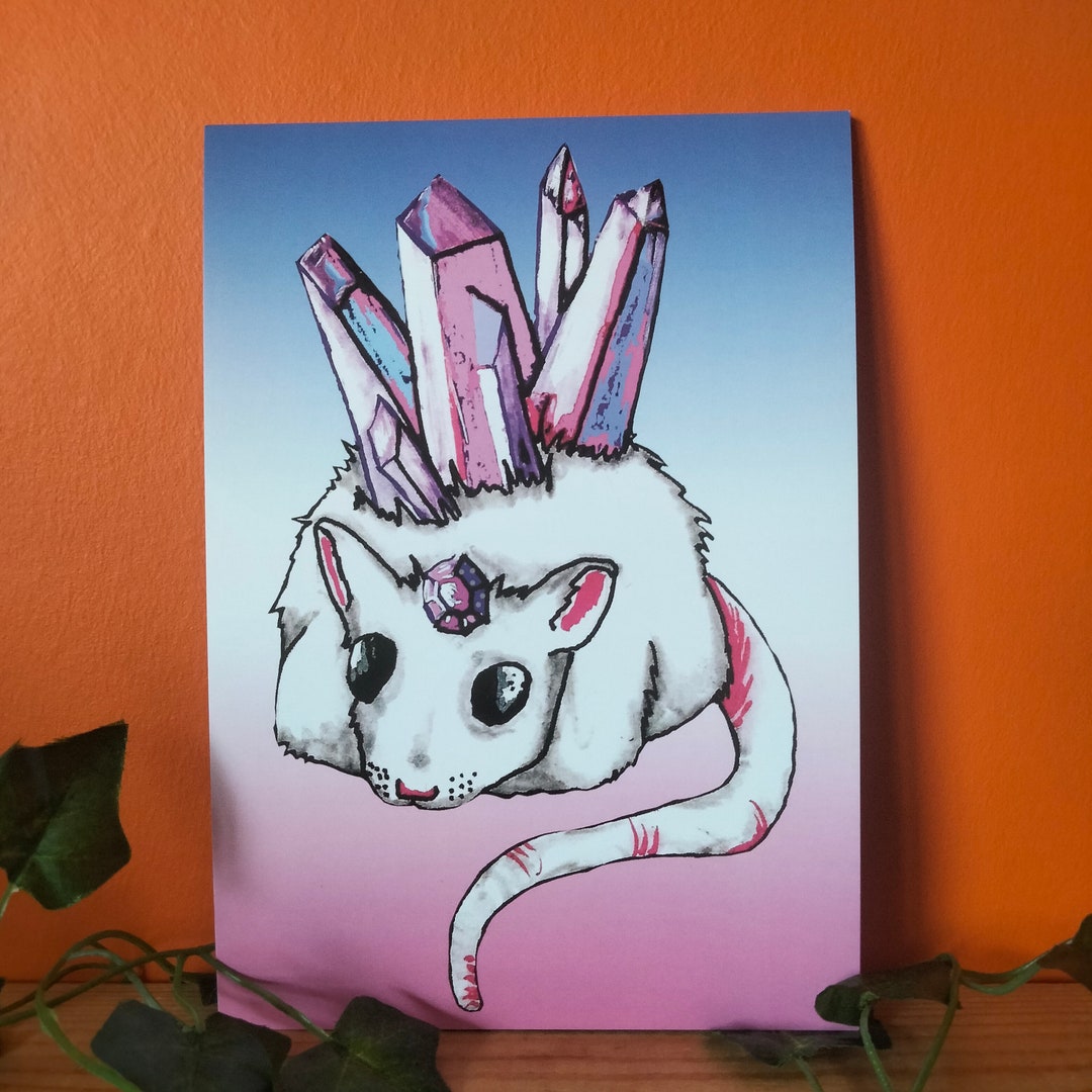 Transgemder Precious Rat Art Print Illustration Transgender Pride ...