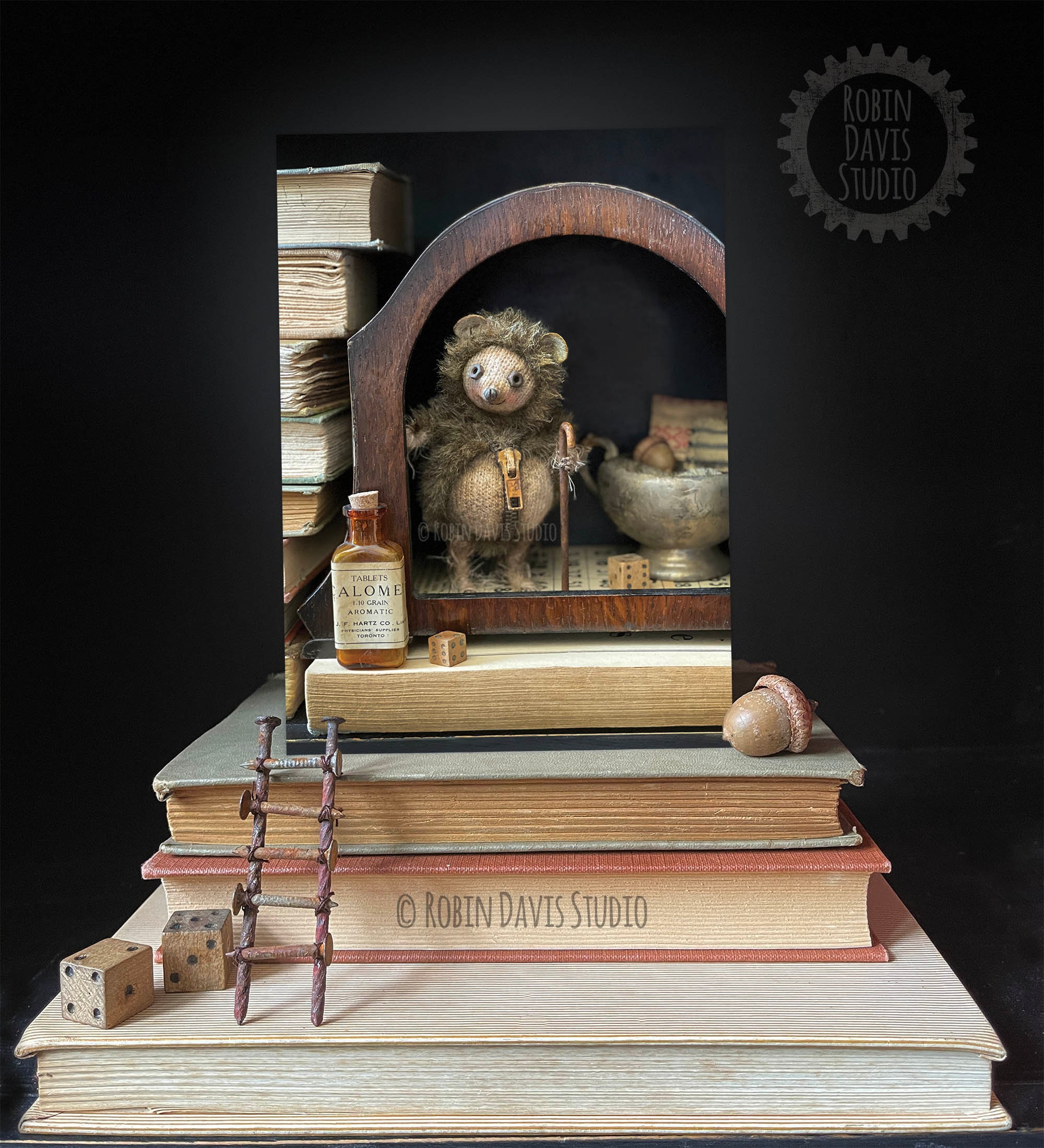 Hedgehog Card by Robin Davis Studio Hedgehog Photo Card - Etsy