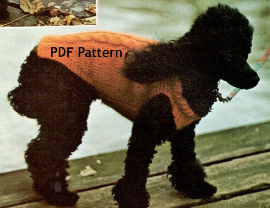 Small Dog Sweater, Poodle, Cable Knit Jacket, Vintage 1971 Pattern ...