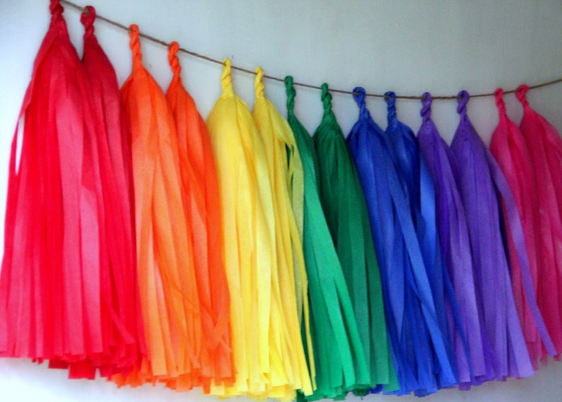 Rainbow Tissue Tassel Garland / Rainbow Party Decor / Rainbow | Etsy
