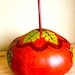 Gourd Box,gourd Art,fine Gourd Art,decorative Gourds,unique Gourds ...
