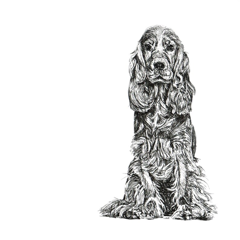 Cocker Spaniel Dog, Black and White, Pen and Ink Greeting Cards - Etsy