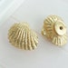 Small Shell Knobs Pulls Brass Gold Knobs Unique Dresser Knobs Pulls Gift Kitchen Pulls Knobs ...