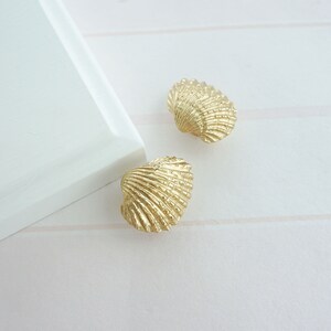 Small Shell Knobs Pulls Brass Gold Knobs Unique Dresser Knobs Pulls Gift Kitchen Pulls Knobs ...