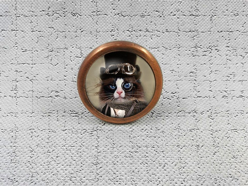STEAMPUNK Cat Drawer Knobs Pulls Handles / Kitchen Cabinet - Etsy