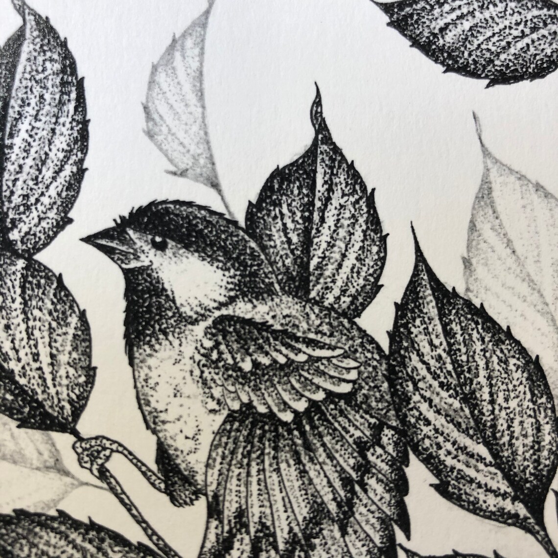 Garden Birds and Rose dot work / stipple floral illustration | Etsy