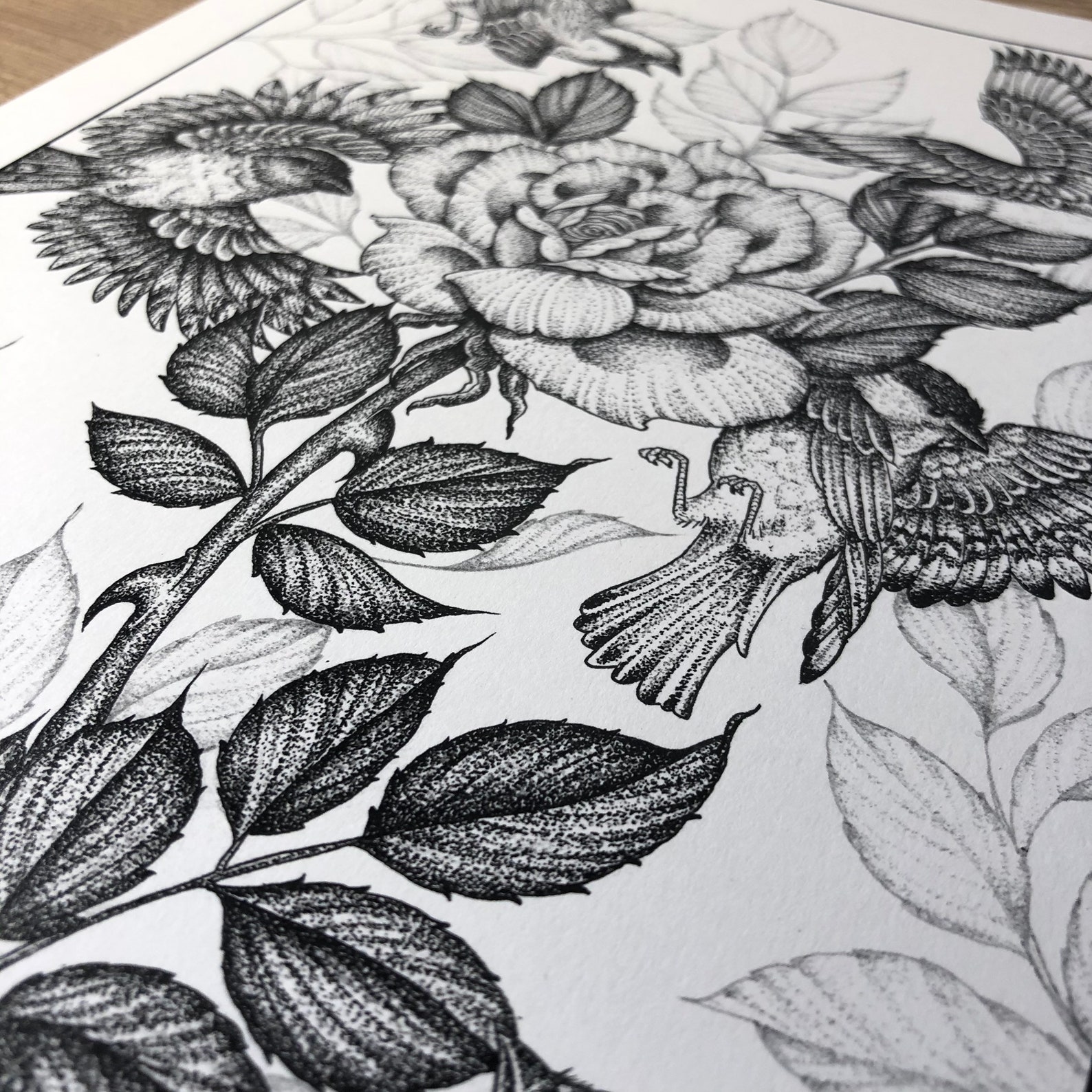 Garden Birds and Rose dot work / stipple floral illustration | Etsy