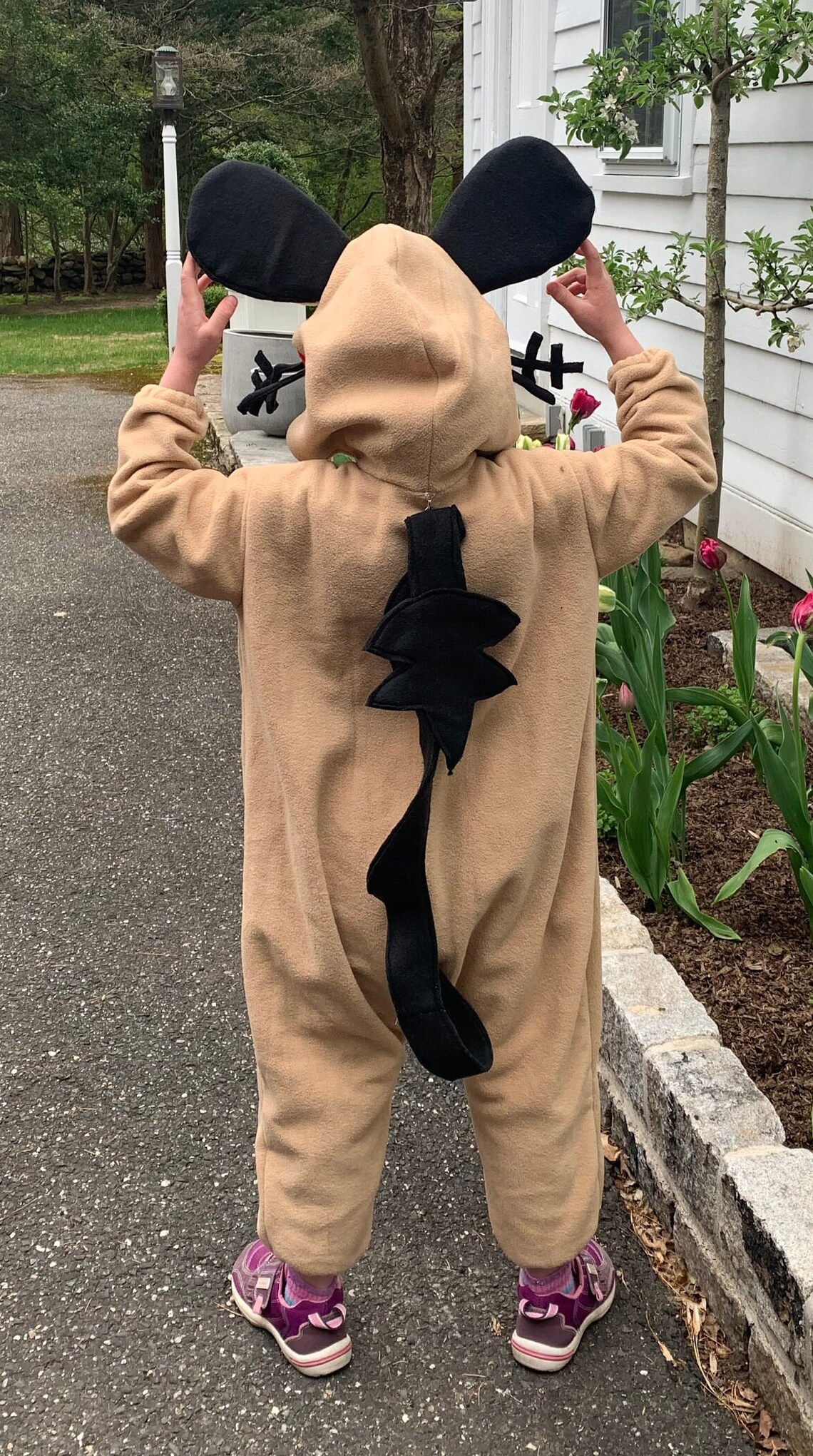 Pokemon Dedenne Costume Custom-made Child Sized - Etsy