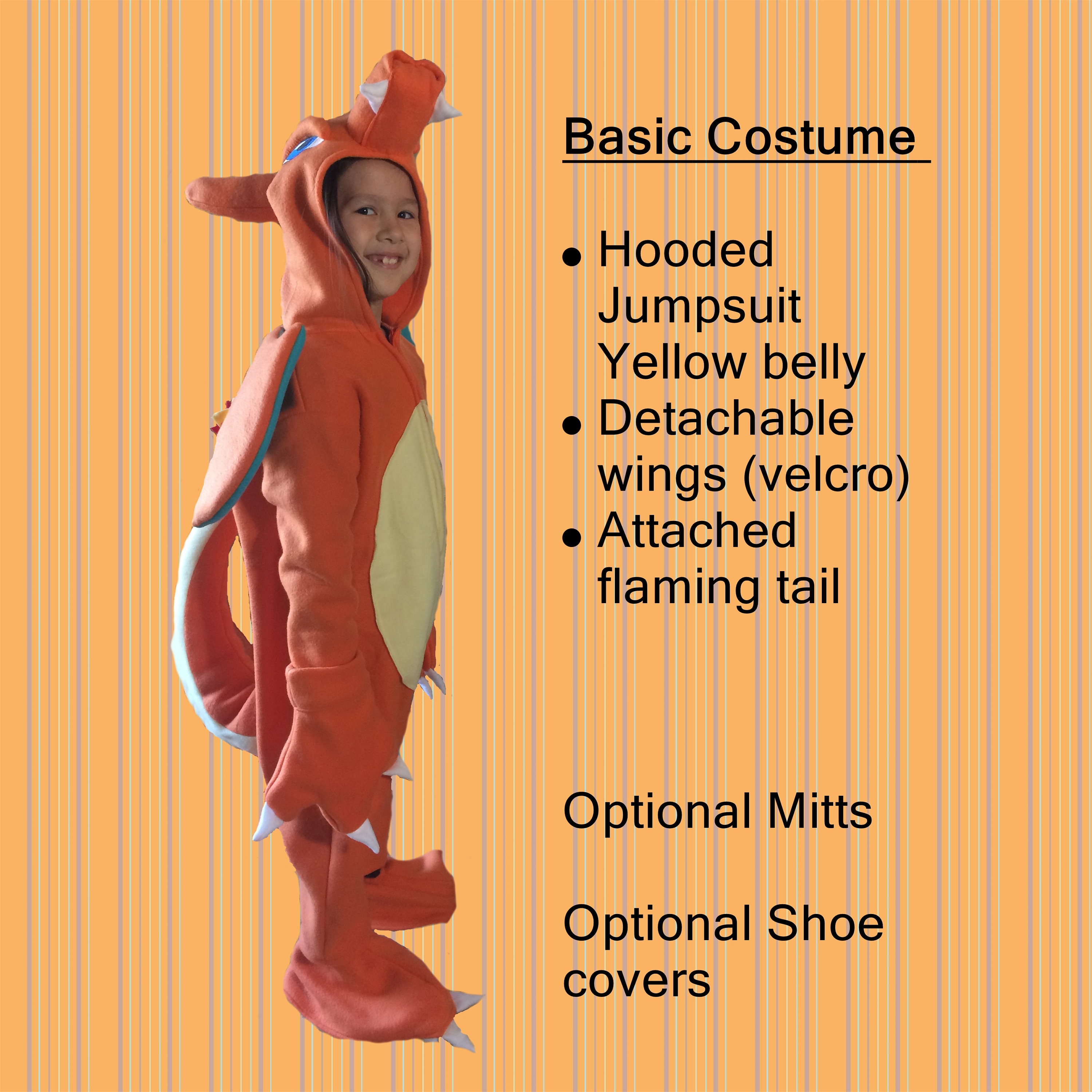 Pokemon Costume Charizard