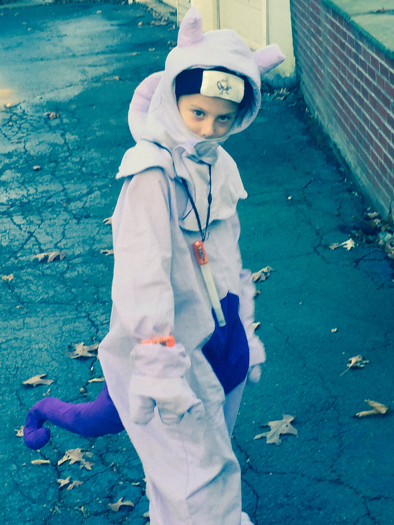 Pokemon Mewtwo Mew Two Costume Child Sizes 4to8 - Etsy