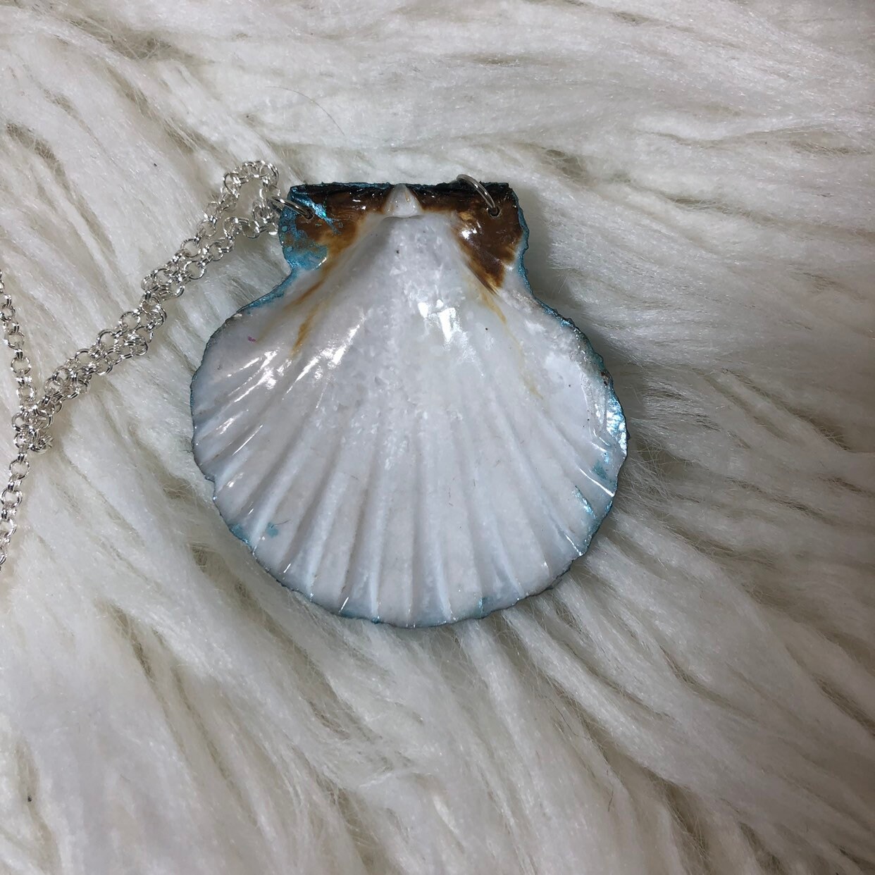 OOAK Blue Sparkle Clamshell Collar colgante de concha marina - Etsy España