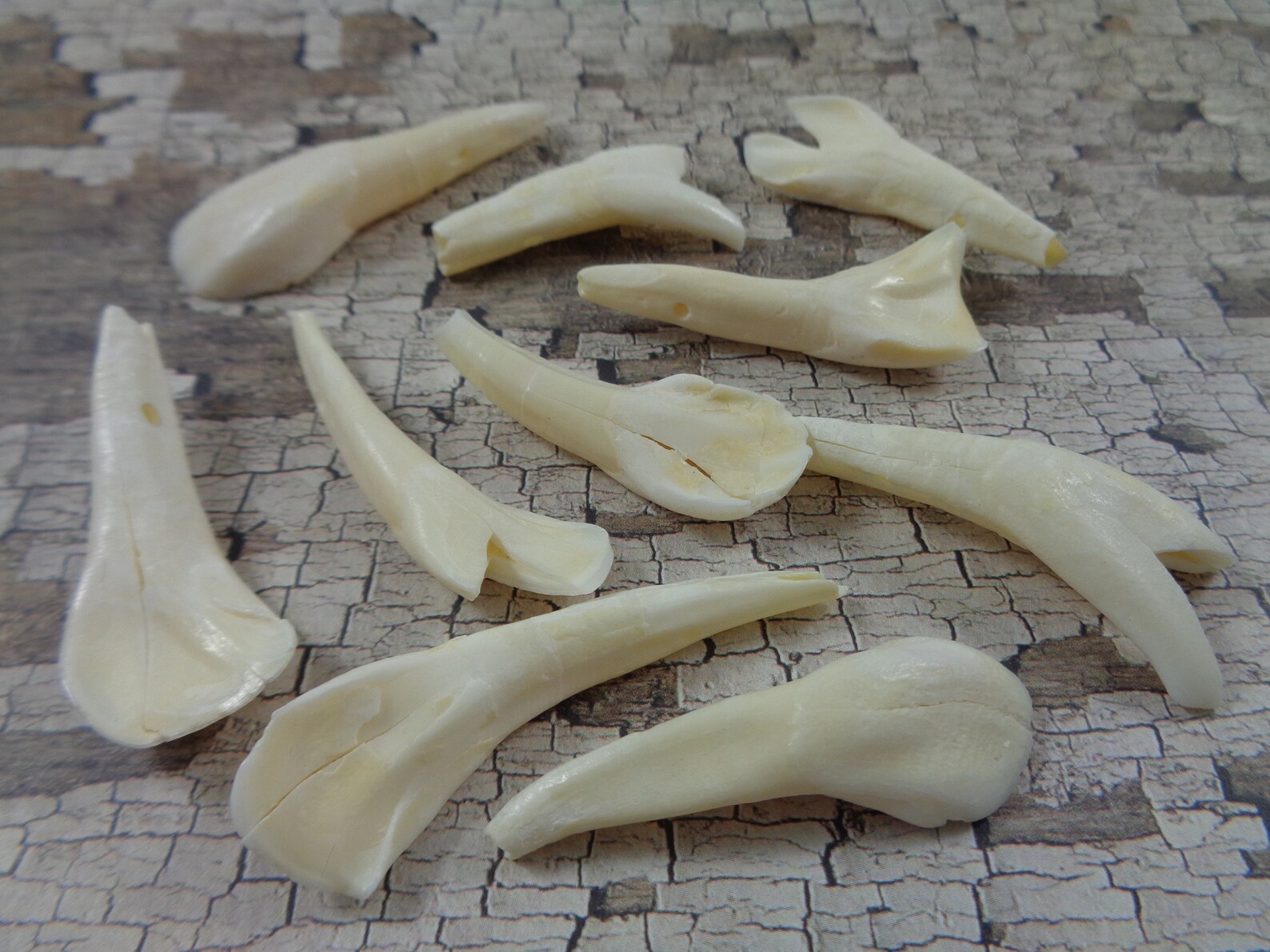 23 Pcs Bone Paddle Shaped Beads - Long Hanging Beads - Cream Bone ...