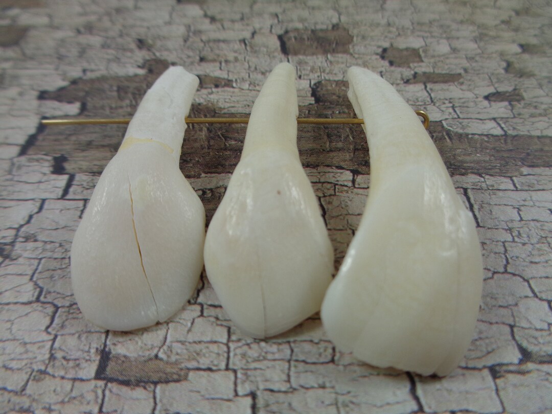 23 Pcs Bone Paddle Shaped Beads - Long Hanging Beads - Cream Bone ...