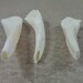 23 Pcs Bone Paddle Shaped Beads - Long Hanging Beads - Cream Bone ...