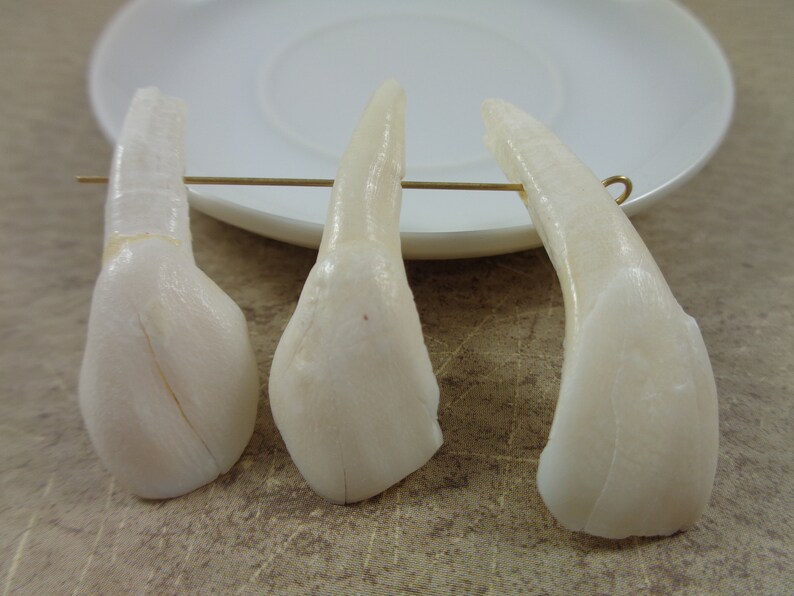 23 Pcs Bone Paddle Shaped Beads - Long Hanging Beads - Cream Bone ...