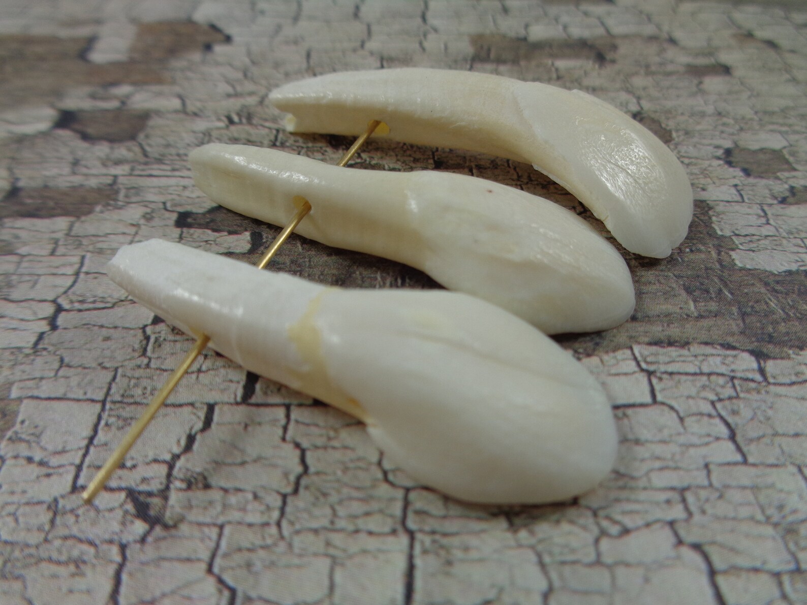 23 Pcs Bone Paddle Shaped Beads Long Hanging Beads Cream | Etsy