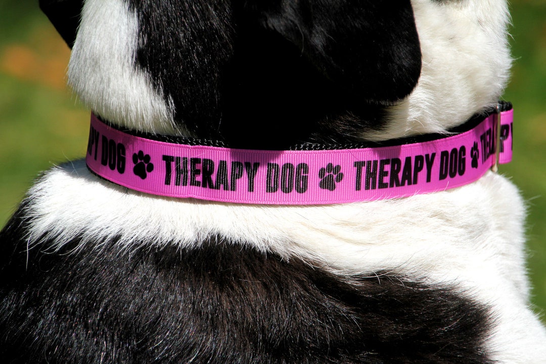 Therapy Dog Collar, Adjustable or Martingale, With Optional Leash - Etsy