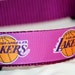 Los Angeles Lakers NBA Adjustible or Martingale Dog Collar, With ...