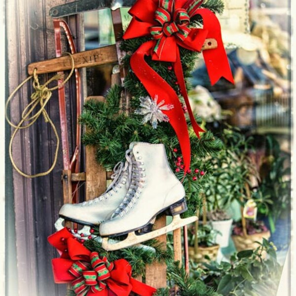 Decorated Ice Skates - Etsy