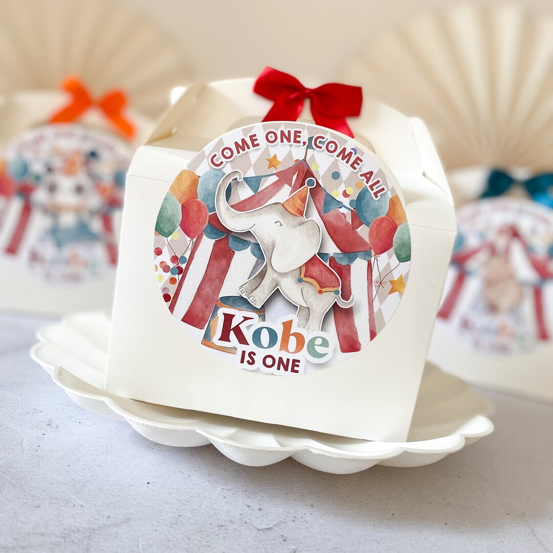 Children’s Party Box | CIRCUS ANIMALS | Personalised Kids Luxe Picnic ...