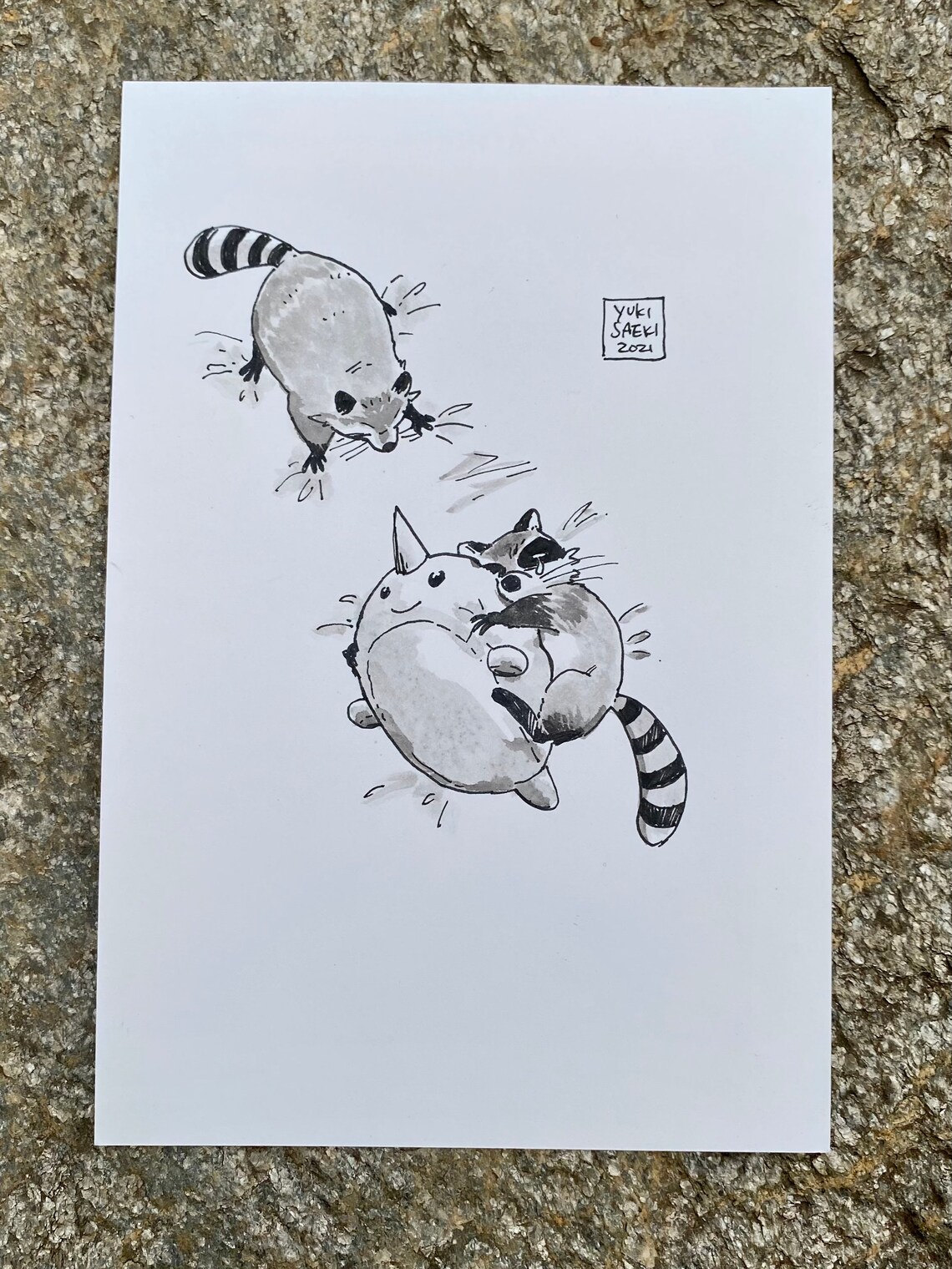 Cuddly Raccoons Original Pen and Ink Illustration for - Etsy