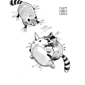 Cuddly Raccoons Original Pen and Ink Illustration for - Etsy