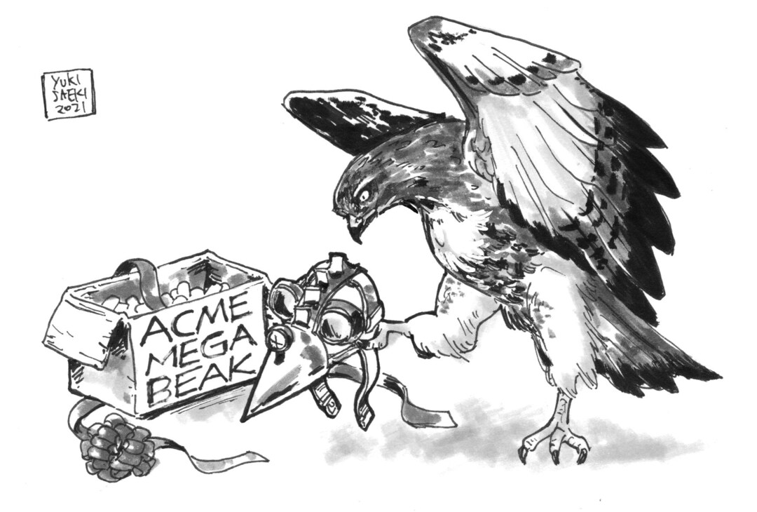 Hawk - Original Pen and Ink Illustration for October Art Challenge 2021 ...