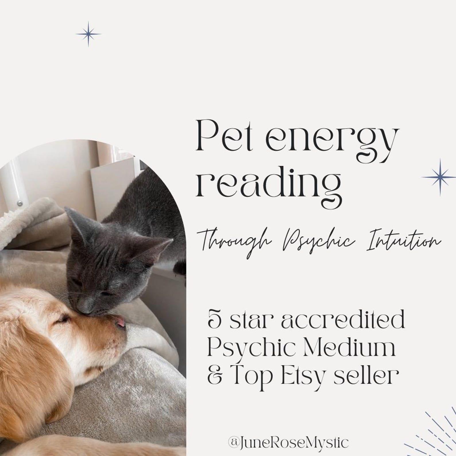 Your PET Energy Reading Genuine Psychic Intuition Within 48 Hours - Etsy