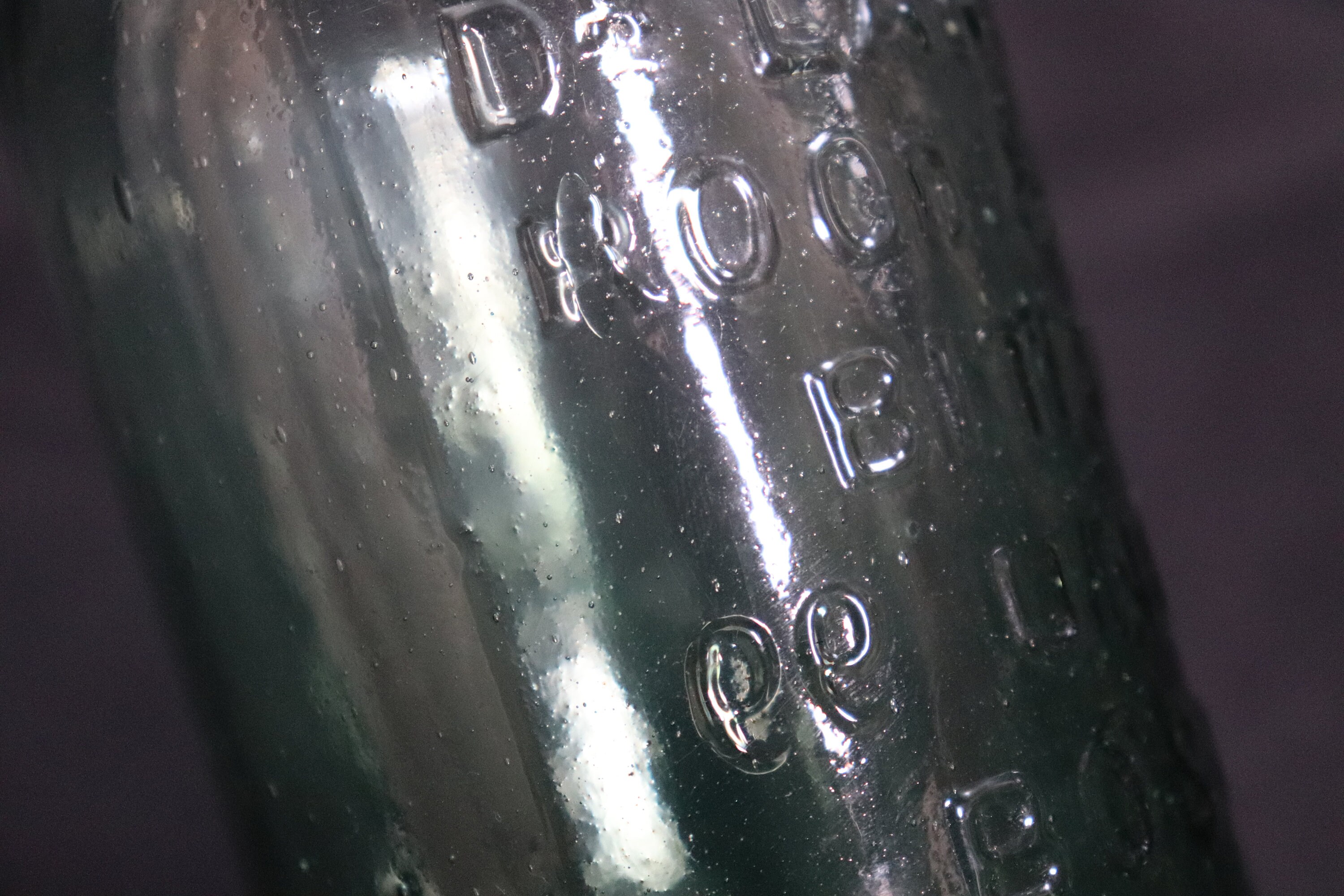 Dr. Langley’s Root and Herb Bitters, Backwards 99, Union St Boston ...