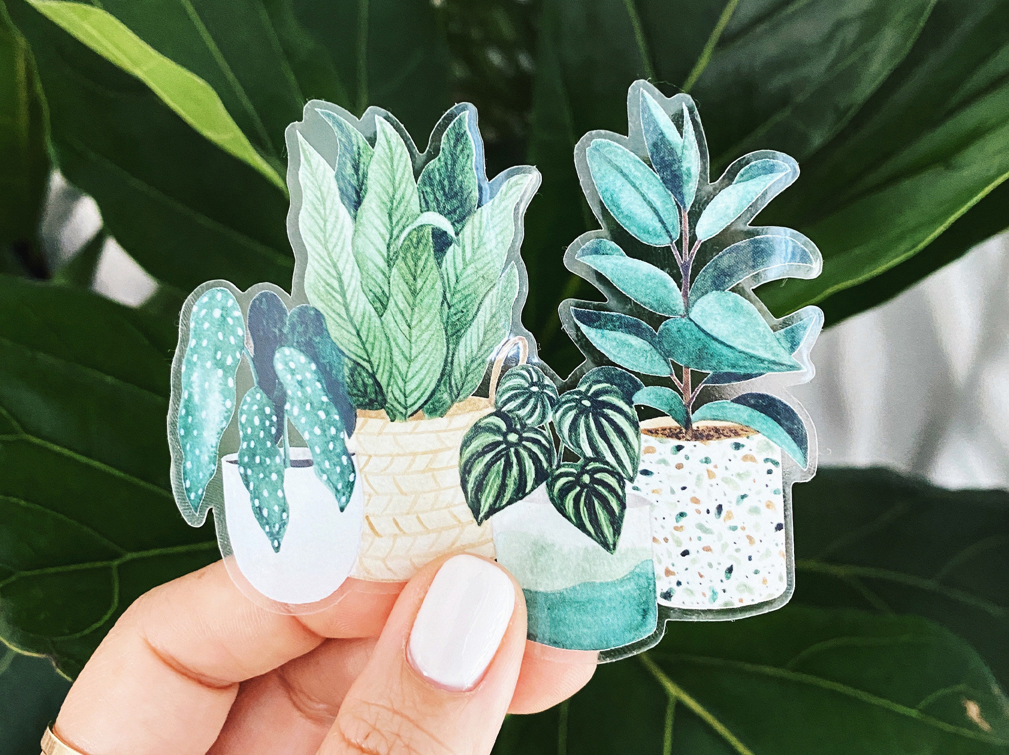 Potted Plants Clear Sticker Plant Lover Sticker Die Cut | Etsy UK