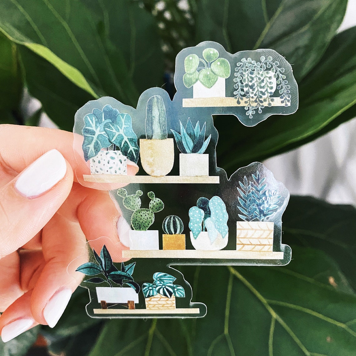 Plant Shelf Clear Sticker Plant Lover Sticker Die Cut | Etsy