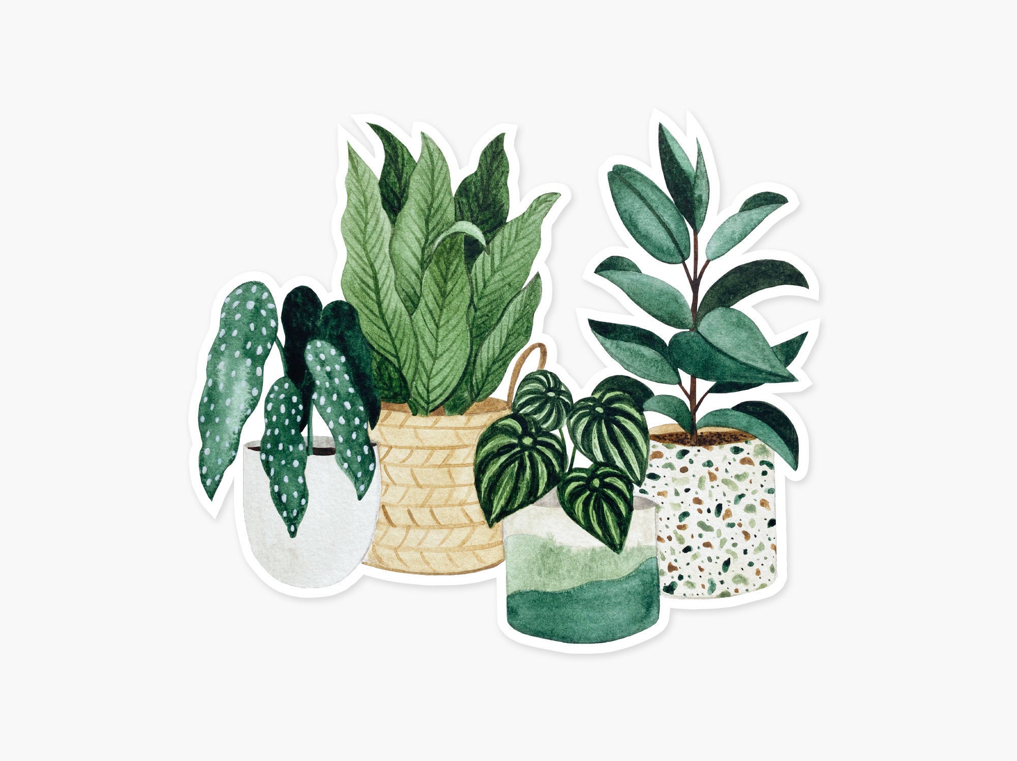 Potted Plants Clear Sticker Plant Lover Sticker Die Cut - Etsy UK