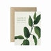 Conservatory Happy Birthday Greeting Card Happy Birthday Card Plant ...