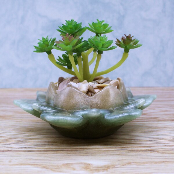 Lotus Succulent - Etsy