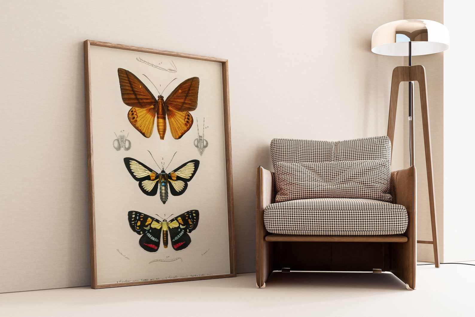 Vintage-inspired Nature Posters, Gallery Wall Art SET of 15, Classic ...