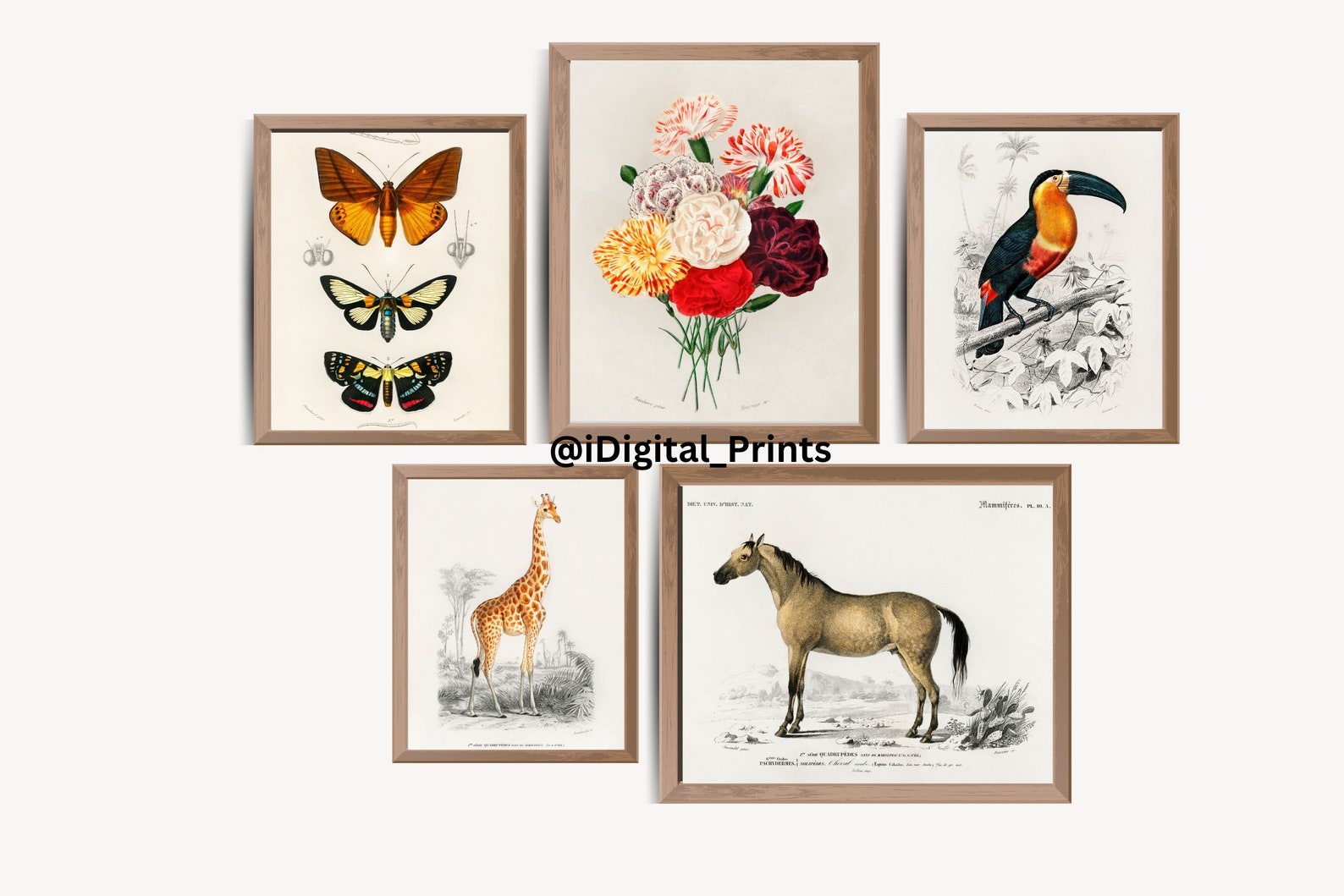 Vintage-inspired Nature Posters, Gallery Wall Art SET of 15, Classic ...