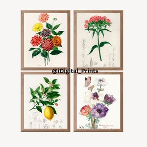 Vintage-inspired Nature Posters, Gallery Wall Art SET of 15, Classic ...