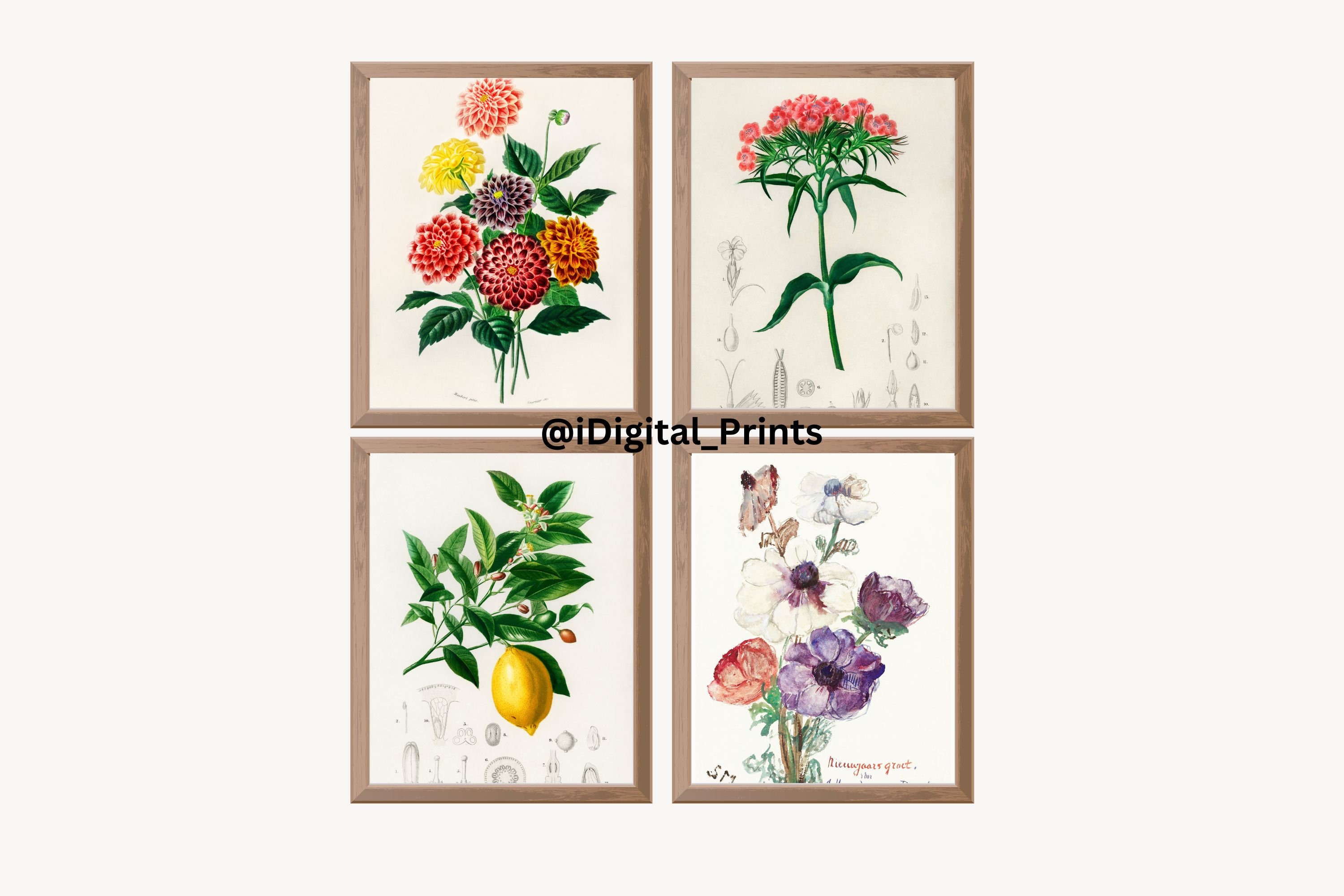 Vintage-inspired Nature Posters, Gallery Wall Art SET of 15, Classic ...