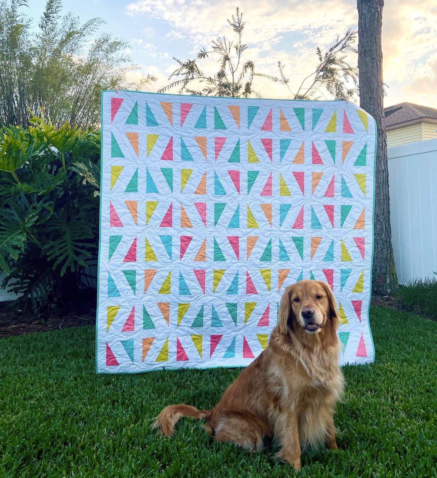 Jubilant Quilt Pattern - Etsy