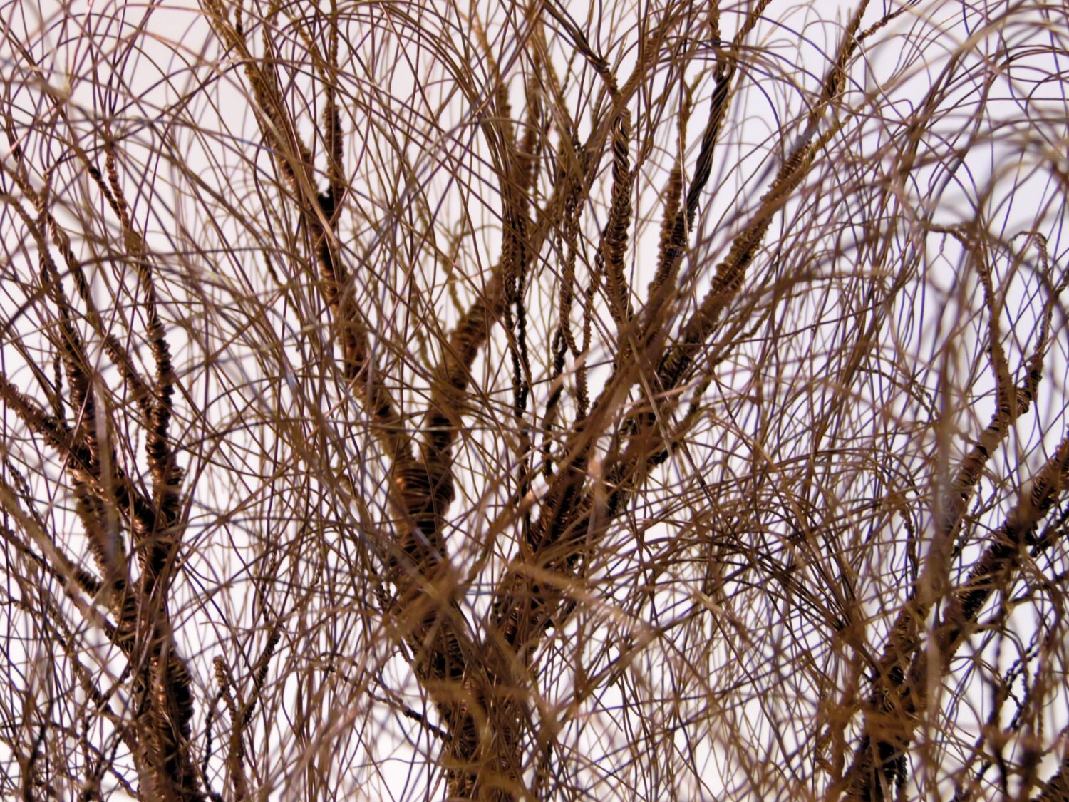 The 1K Copper Willow Tree - Etsy