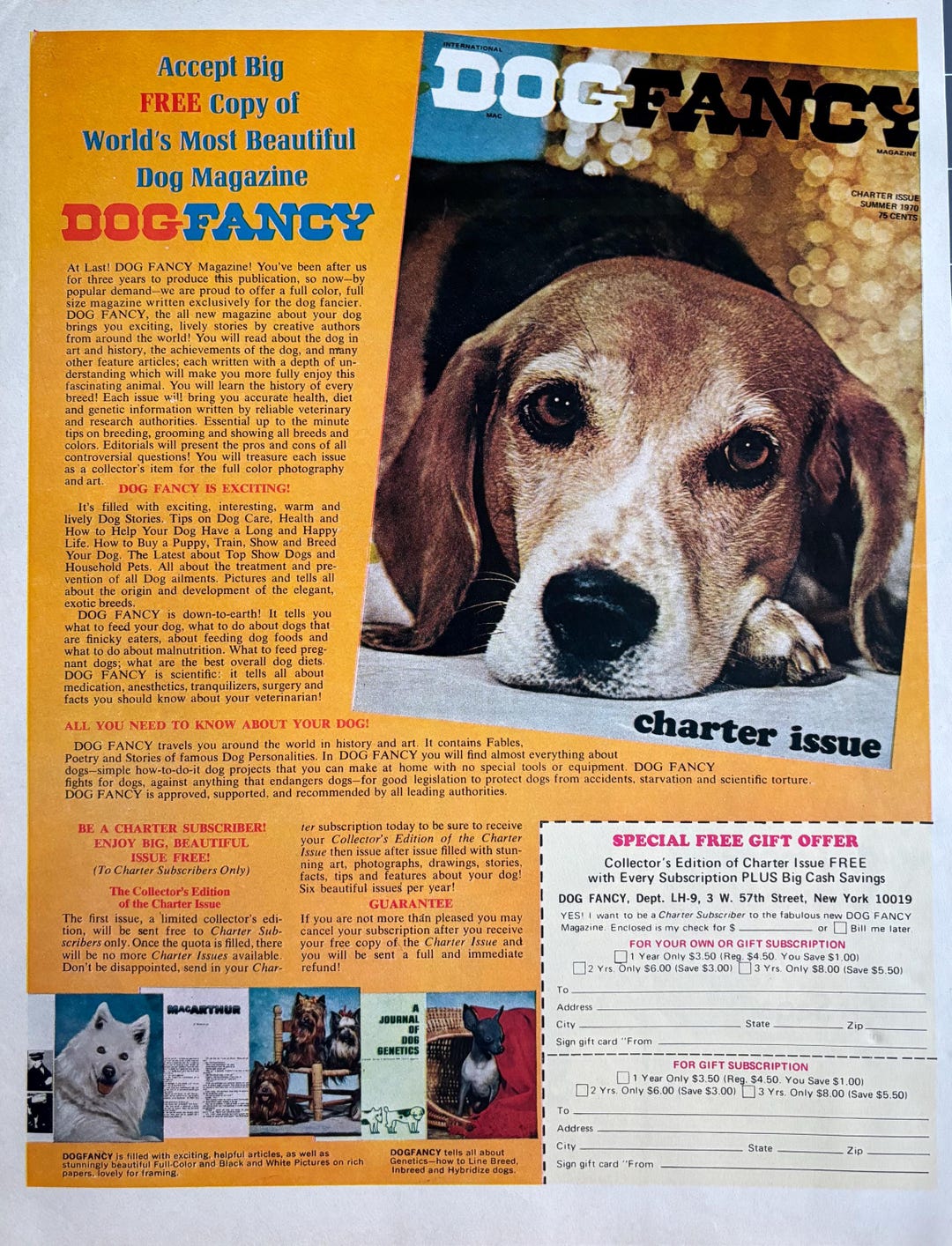 1970 Dog Fancy Magazine Original Vintage Advertisement Publication Ad ...