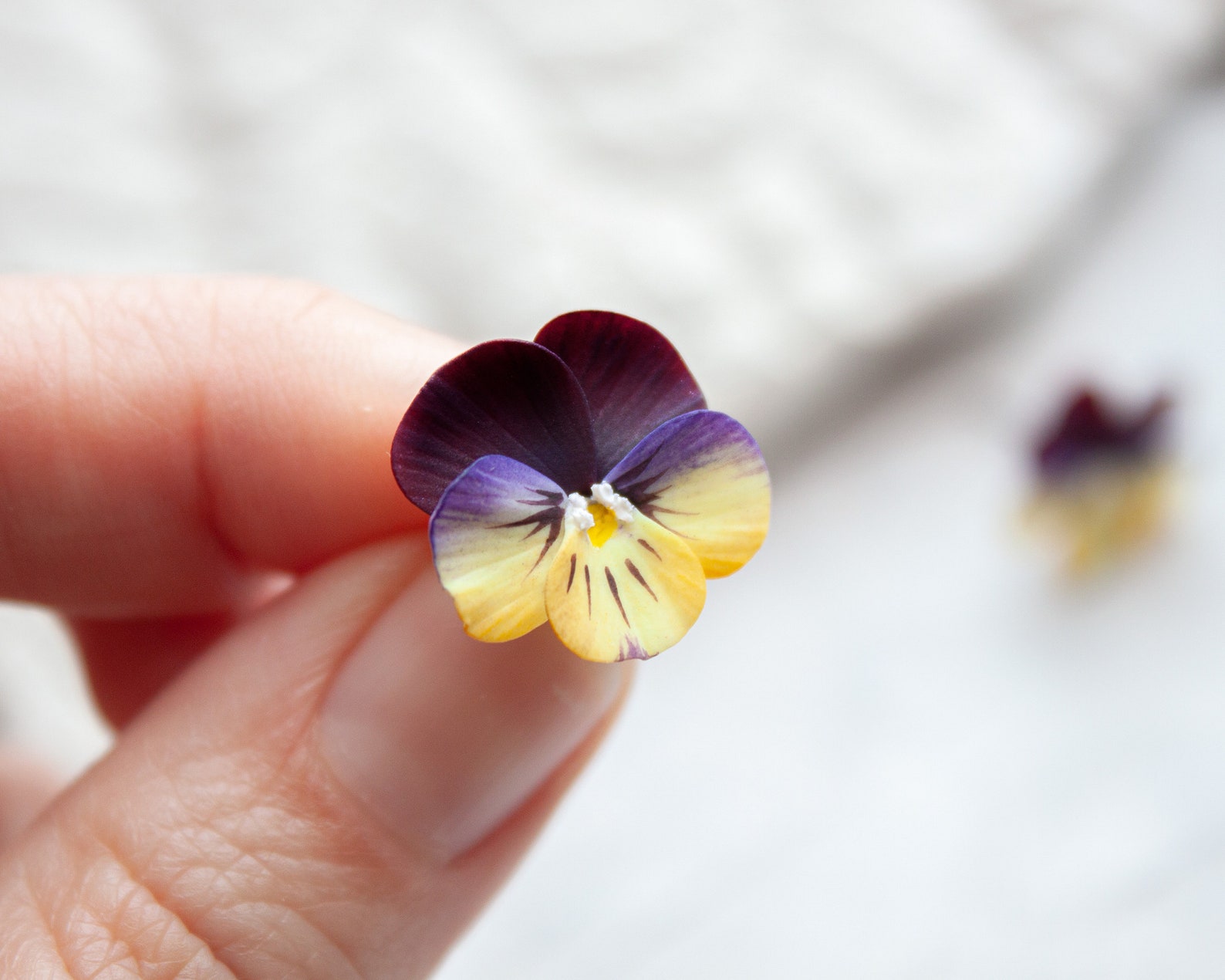 Mini Pansy Stud Earrings - Etsy