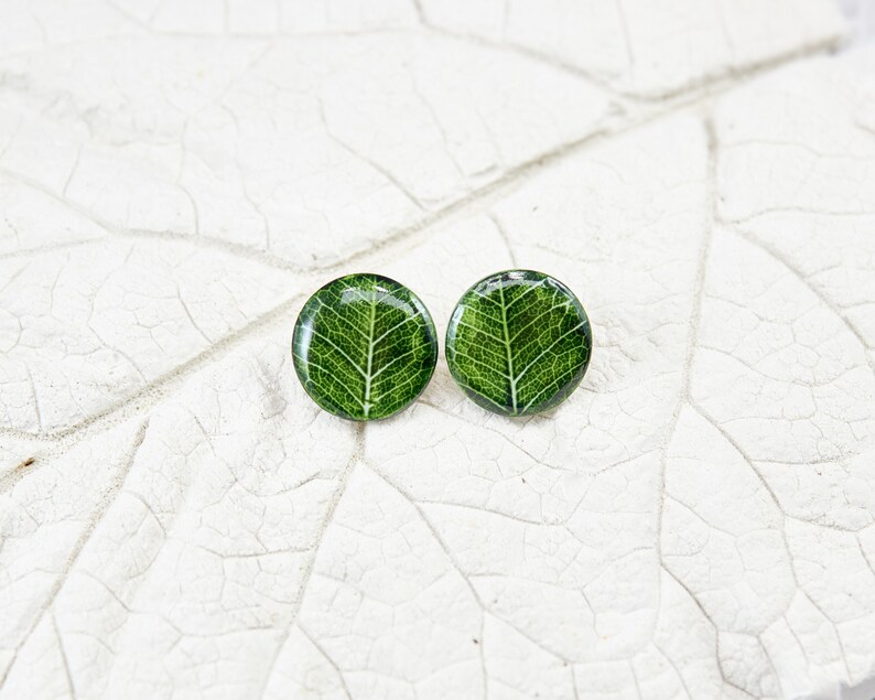 Green leaf stud earrings. Casual small earrings | Etsy