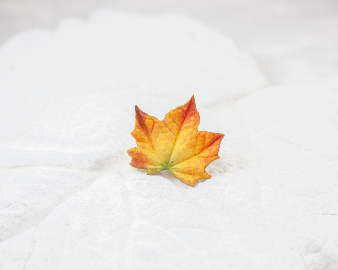 Spilla con una piccola foglia d'acero. Spilla con una foglia autunnale ...