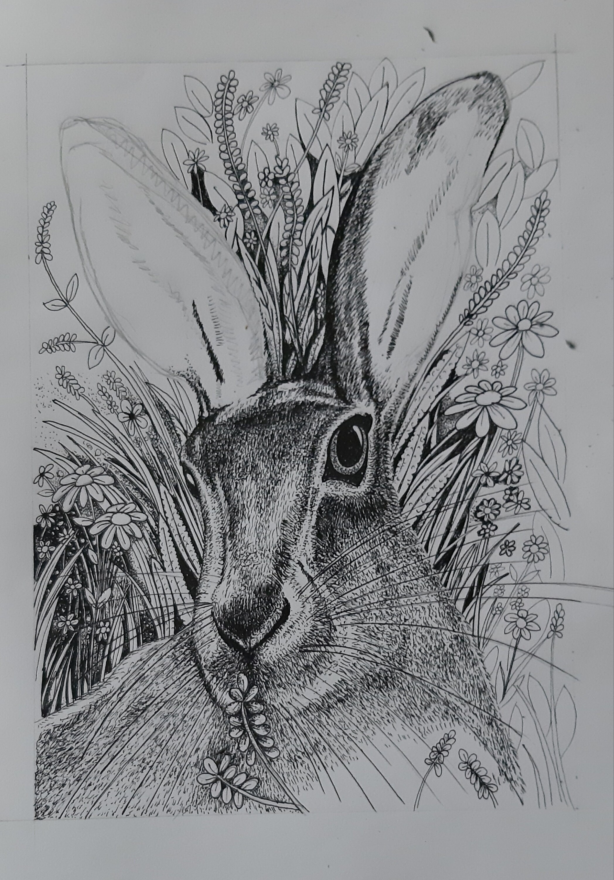A4 Original Cose-up Hare Drawing - Etsy