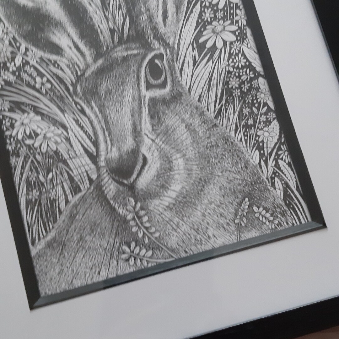 A4 Original Cose-up Hare Drawing - Etsy