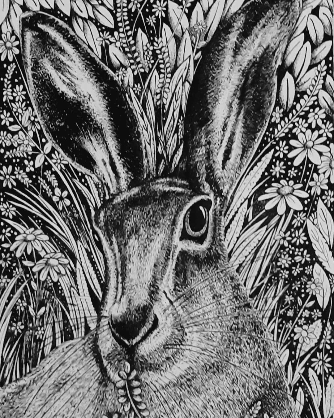 A4 Original Cose-up Hare Drawing - Etsy